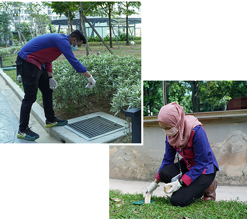 Terminex Pest Control Sdn. Bhd. | Pest Control | Pest and Termite ...