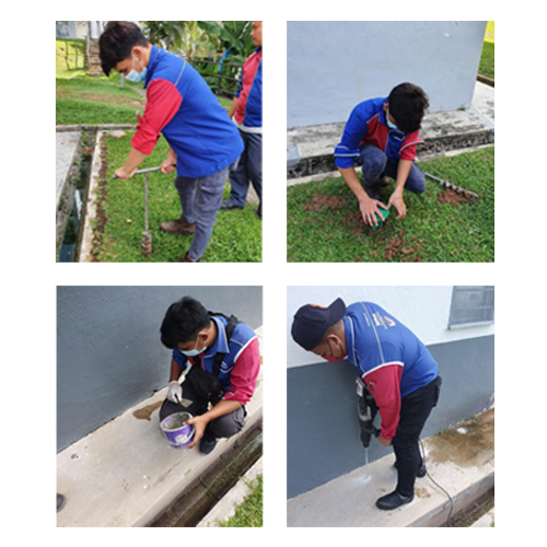 Terminex Pest Control Sdn. Bhd. | Pest Control | Pest and Termite ...